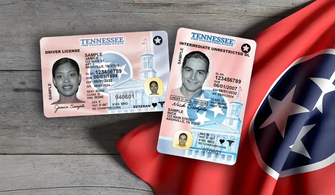 La carte d’identité américaine : ce que vous devez vraiment savoir
